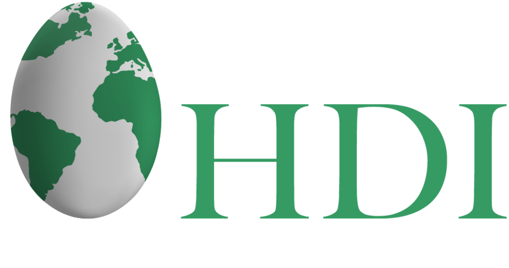 HDI 3D LOGO-02 | The HDI